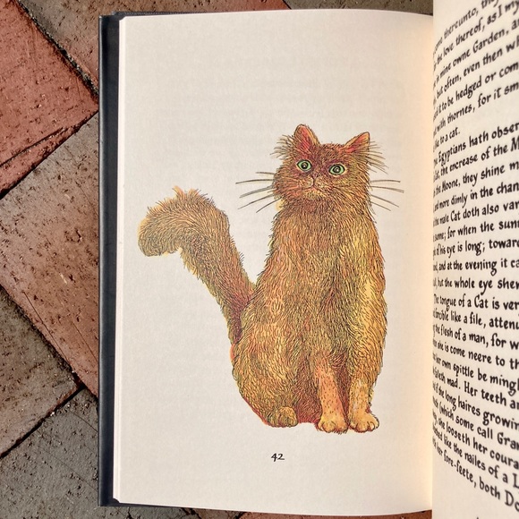 Other | 1993 The Triumphant Cat Marmaduke Skidmore Esquire Feline Verse ...